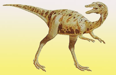 Dinosaur info: May 2011
