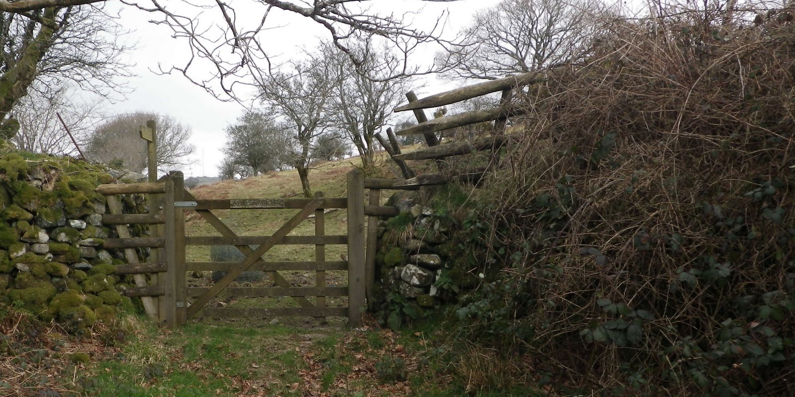 My Dartmoor Walks: Sunday 24th February The Walkhampton Plaques