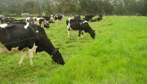 conociendo cajamarca: conociendo cajamarca