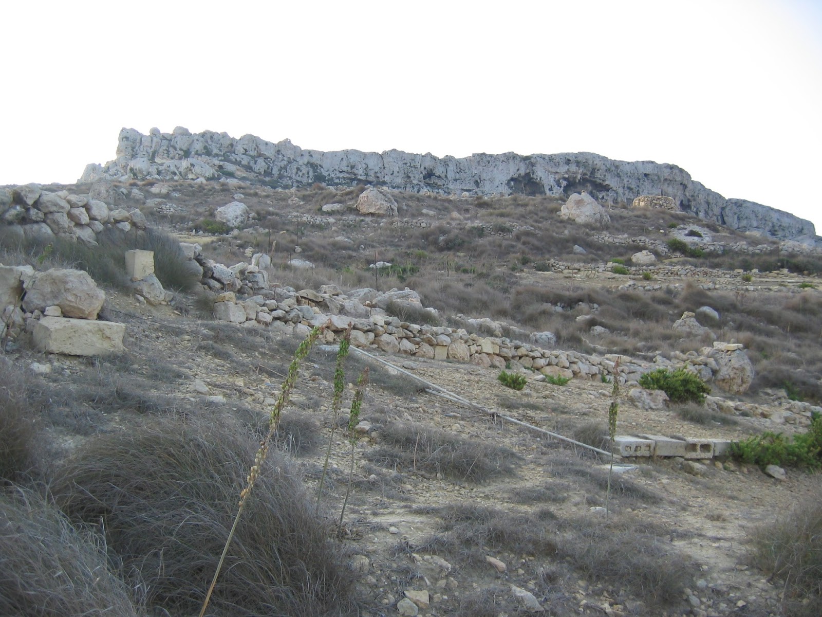 Malta and Gozo Natural Scenery: Fomm Ir-Rih