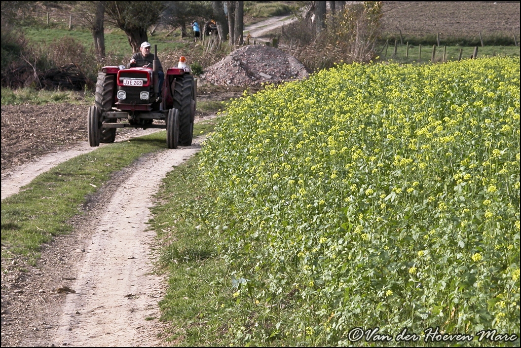 Landelijk Aaigem: Wandeling naar Ressegembos