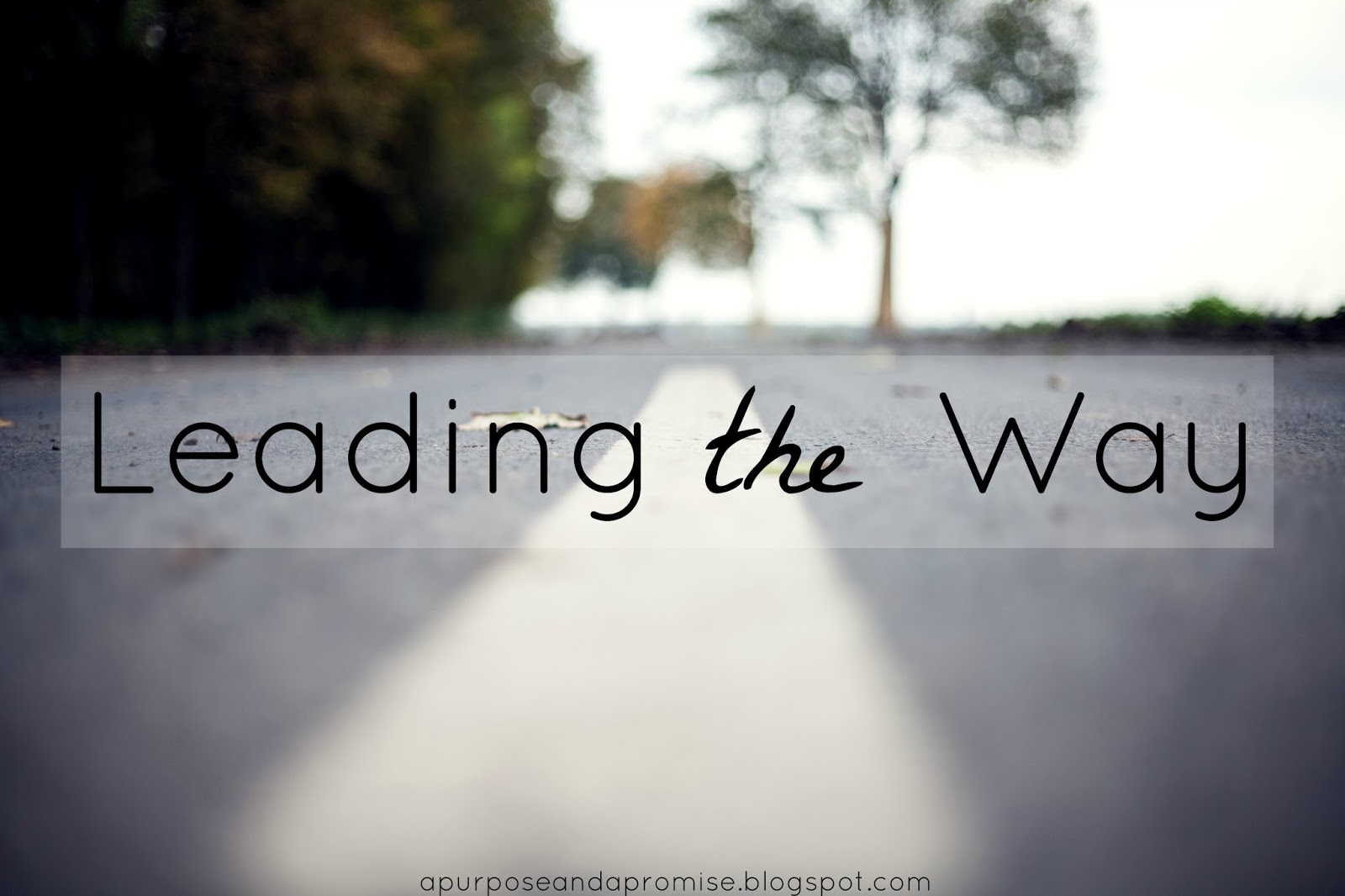 A Purpose And A Promise Leading The Way a-purpose-and-a-promise-leading-the-way