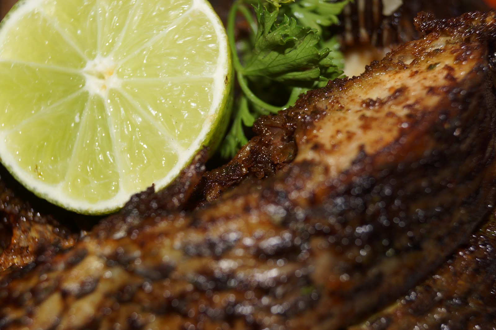 Delicious African Recipes by Afro Fusion Cuisine: 2012