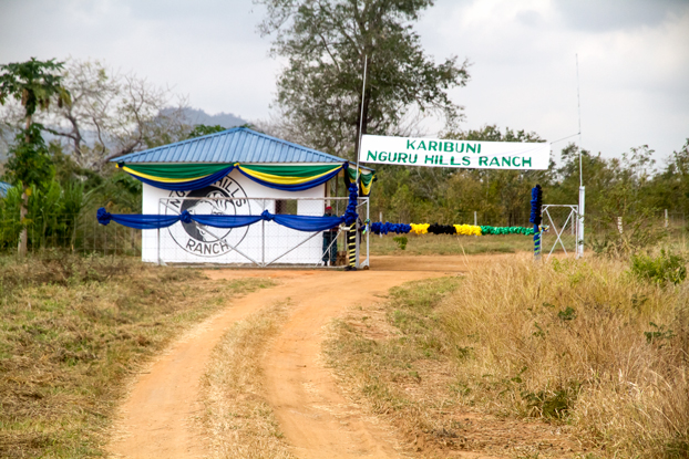 Matukio: KIWANDA KIKUBWA CHA KUCHINJA NA KUSINDIKA NYAMA CHAZINDULIWA ...