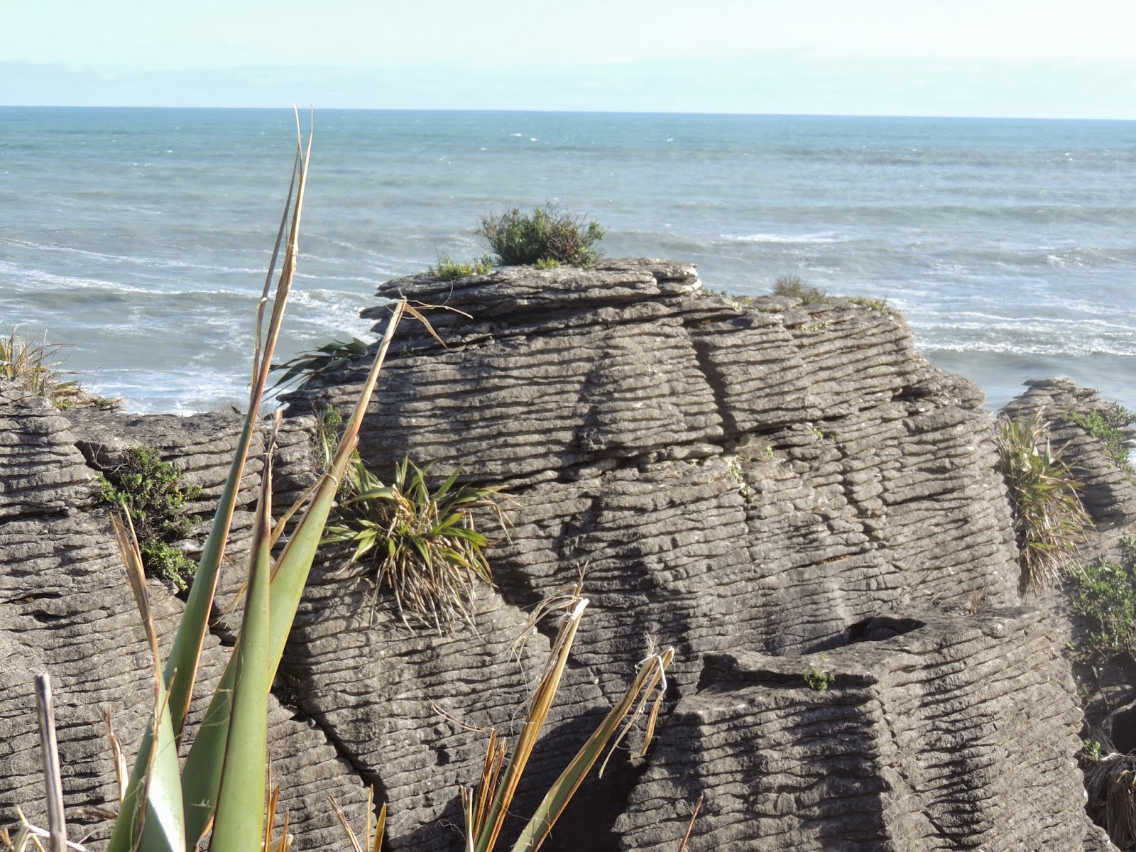 THE ROAD TAKEN : Pancake Rocks and Blowholes, Paparoa National Park