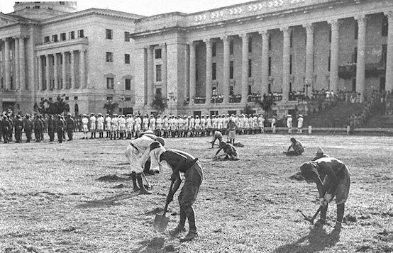 Blog To Express: Food Rationing in Singapore during the Japanese Occupation