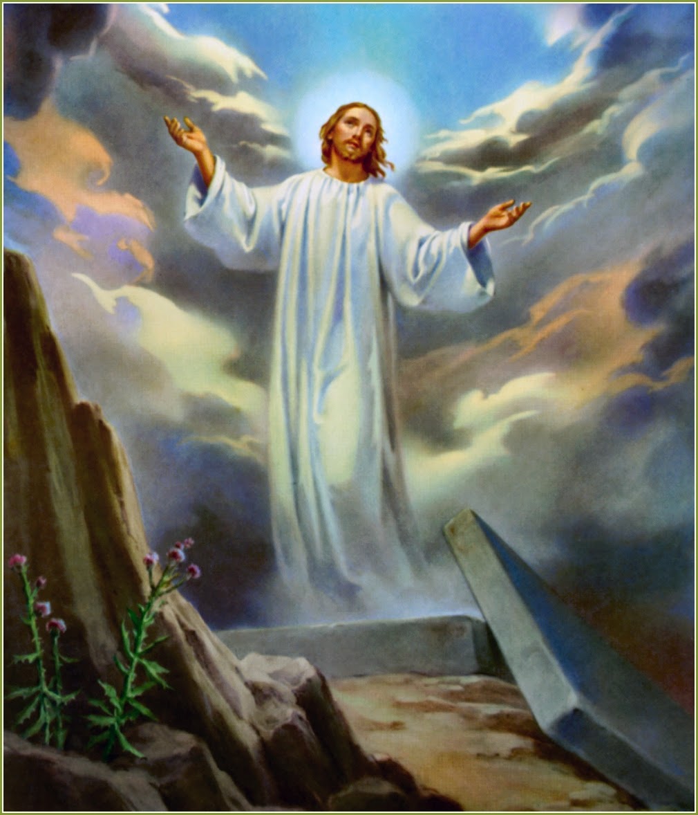 Apostolado Eucarístico: EL CREDO EN IMÁGENES PARA LOS NIÑOS