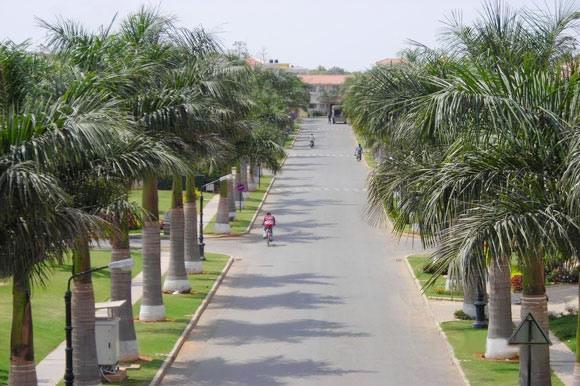 Adarsh Palm Meadows