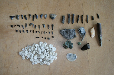 As good as it gets: Haaientanden