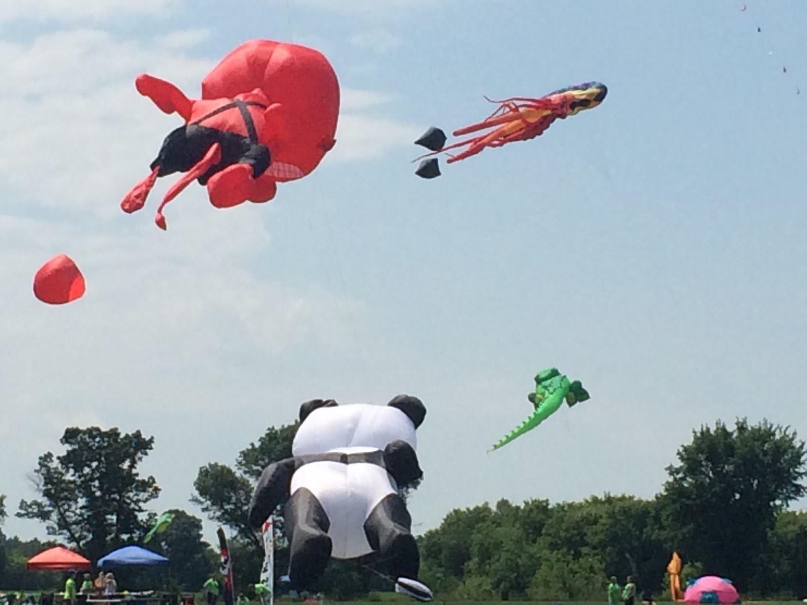 Miller Moments: summertime shenanigans