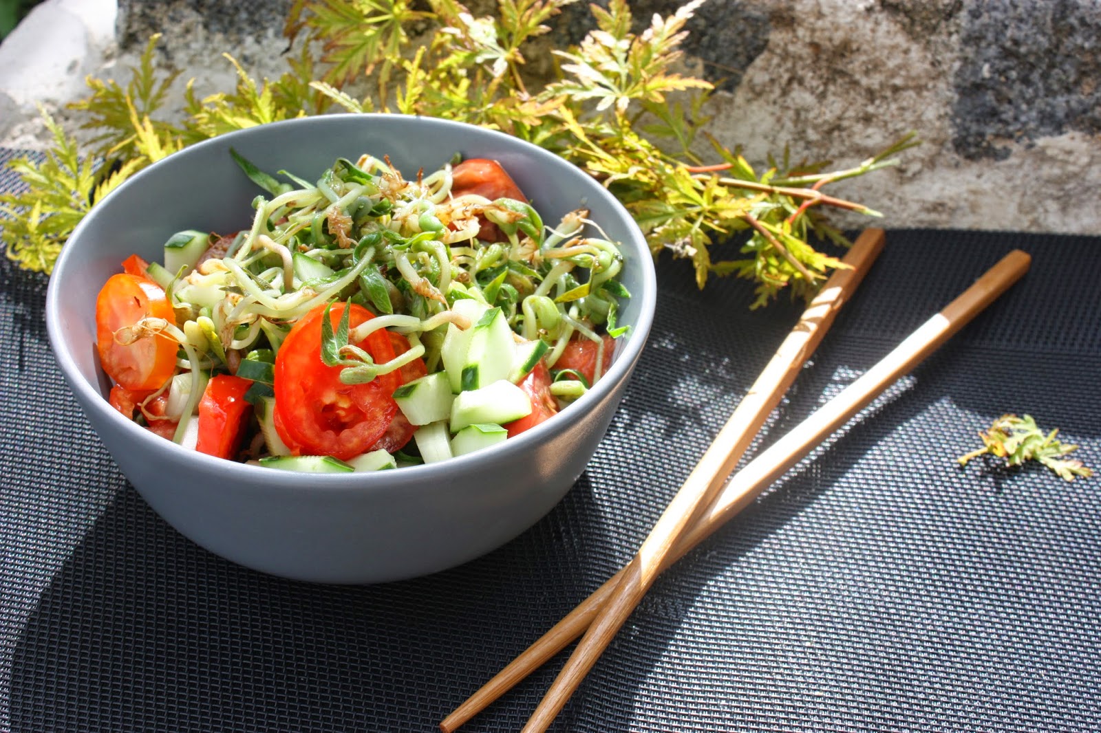 cocotte chlorophylle: Salade de germes de soja frais aux saveurs d'Asie