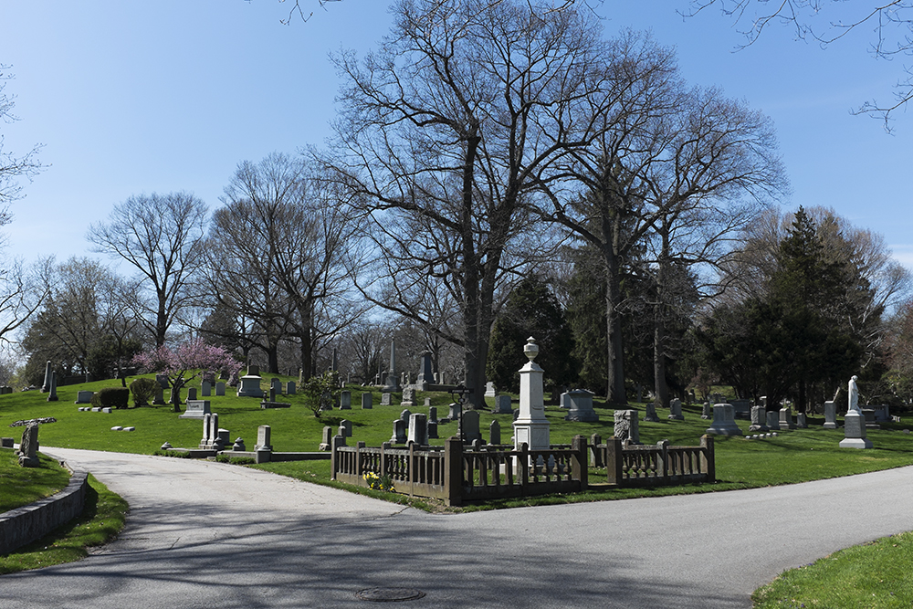 North American Cemeteries: Early spring in Swan Point Cemetery