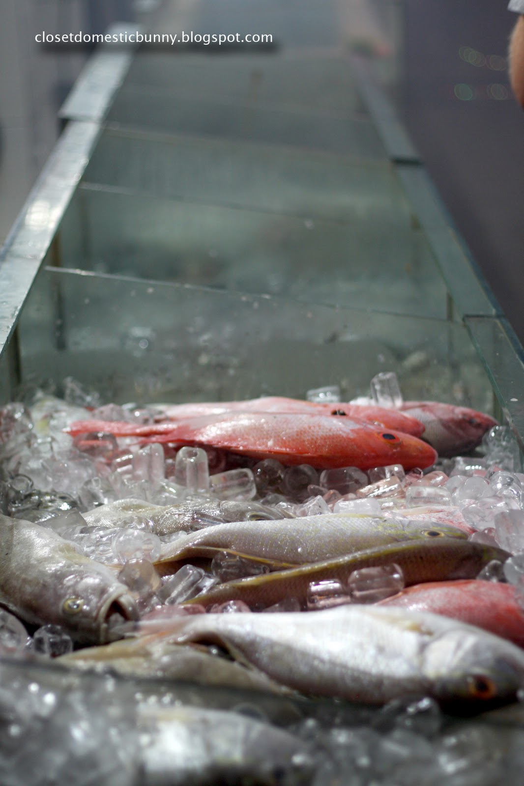 cooking. eating. carousing.: menega cafe