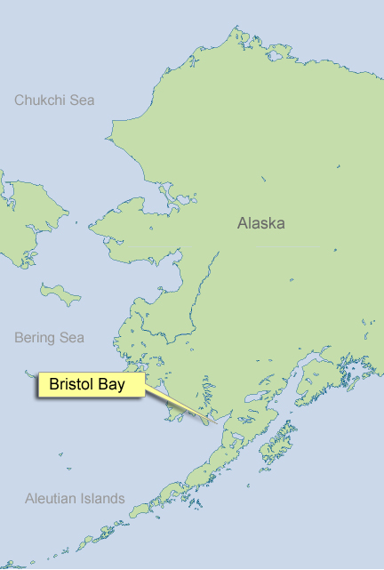 Environmental Commentaries