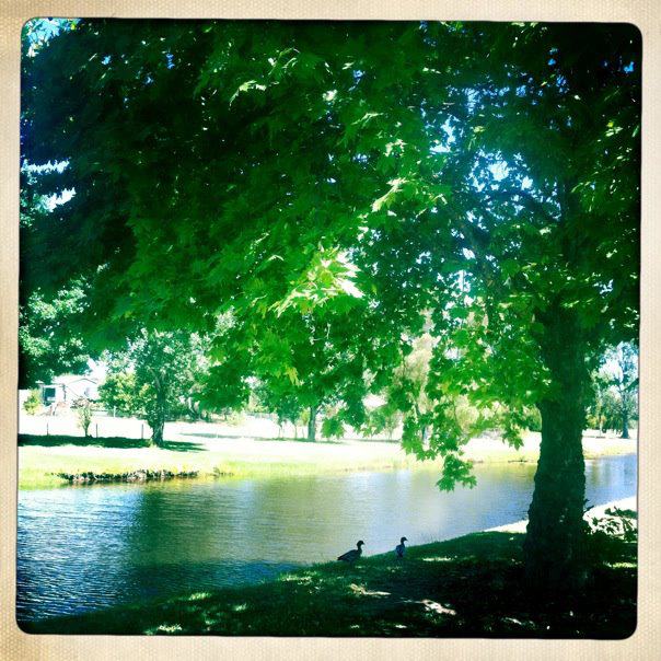 Stanthorpe Granite Belt: Stanthorpe Weather