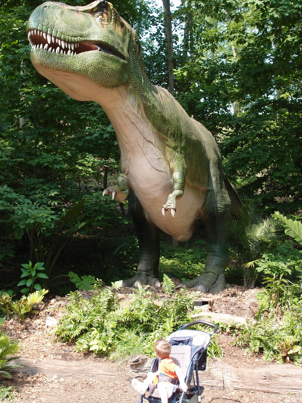 There and Back Again: Ohio Day 4 - Dinosaurs at the Zoo