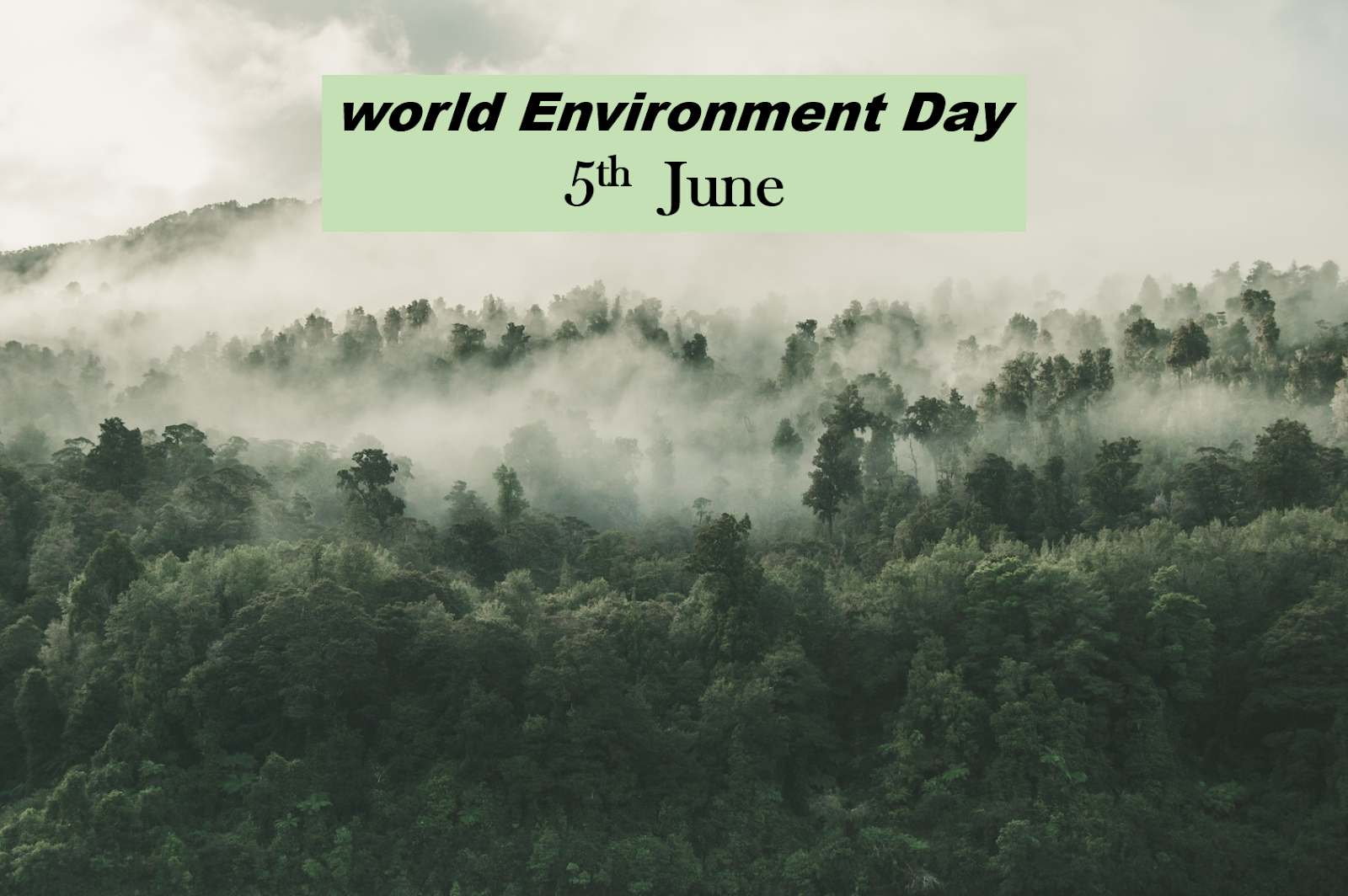 When do we celebrate Environment Day?