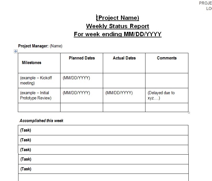 Sample Weekly Report To Boss