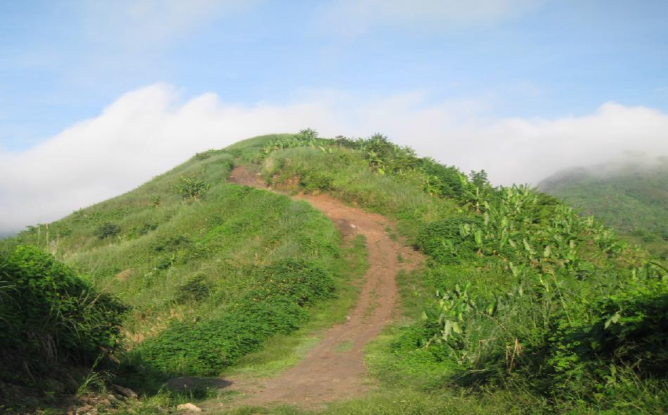 Life Of A Runner Hill Training life-of-a-runner-hill-training