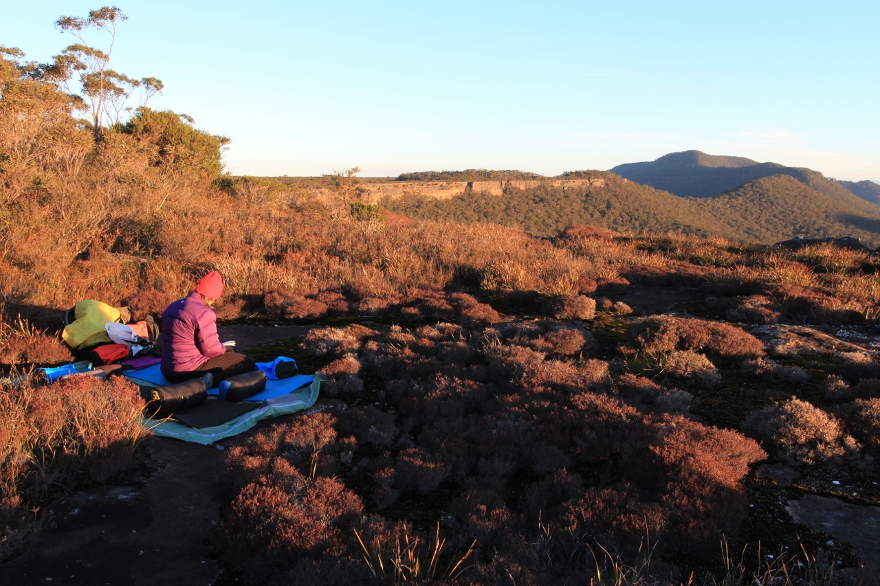 awildland: Is this the best view in NSW? Mt Bushwalker, Morton National ...