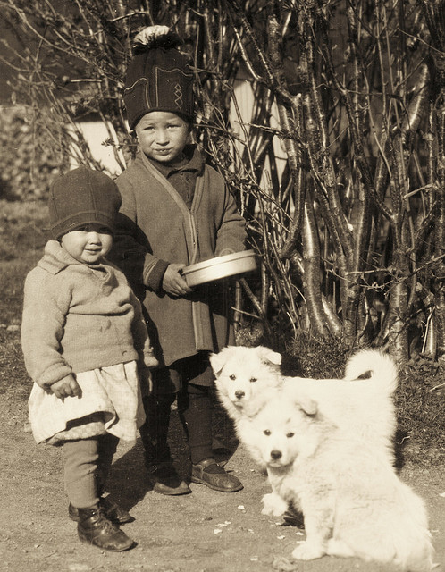 White Wolf : Rare, old photos of indigenous Sami people showcase their ...