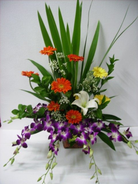 Toko Bunga Depok | Florist Depok | Jual Bunga Papan dan Bouquet Terbaik ...