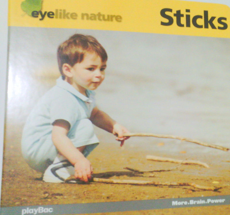 CHILDREN BOOKS FOR YOU: Sticks