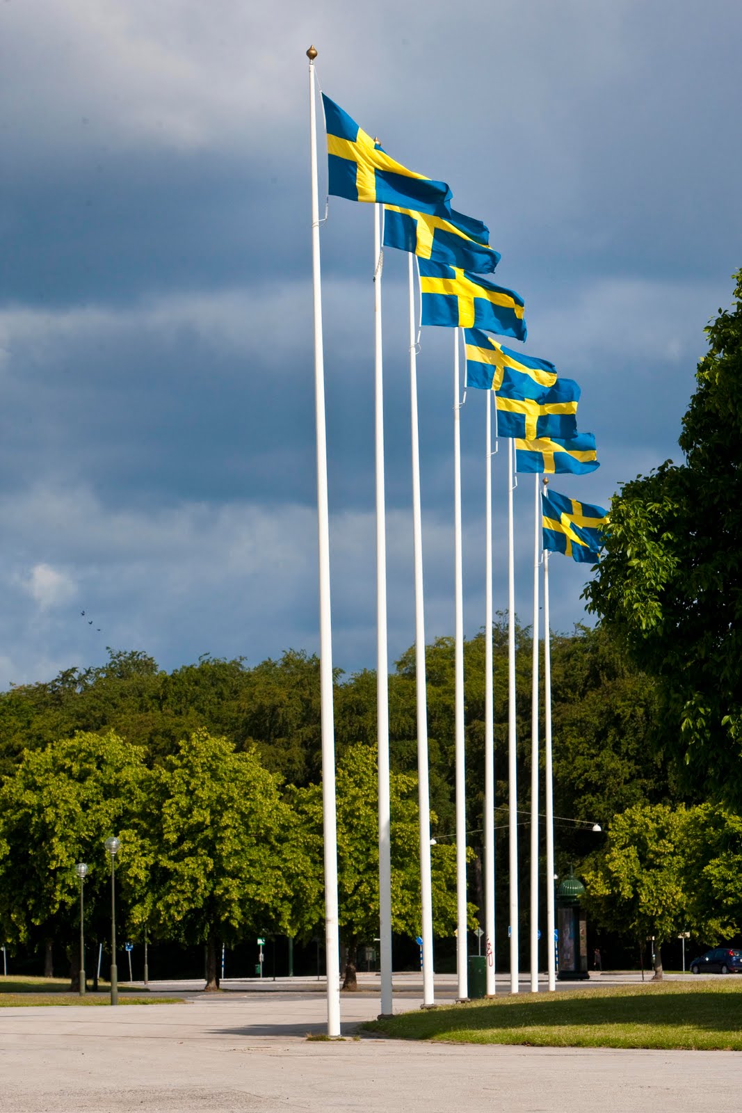 SteglarpsFoto: Allmän Flaggdag