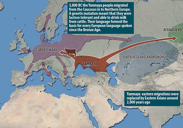 Aryan Anthropology: Searching for "Aryan genes"