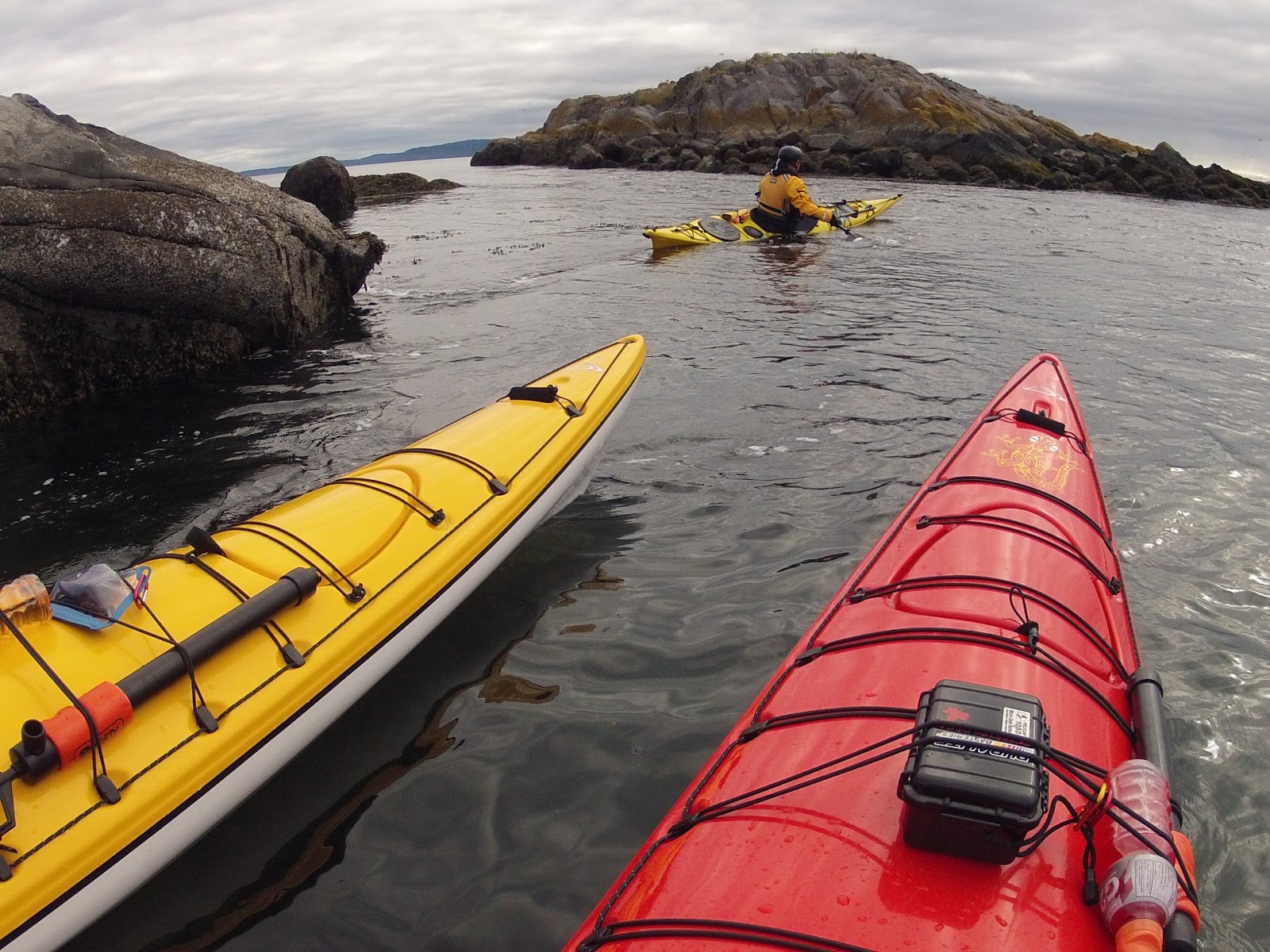 Gecko Paddler: One Day .... Two Paddles, A Couple Of Kayak Bucket List ...