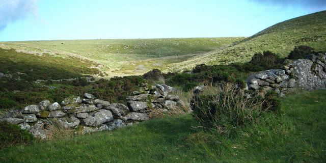 My Dartmoor Walks: Wednesday 8th June Hexworthy