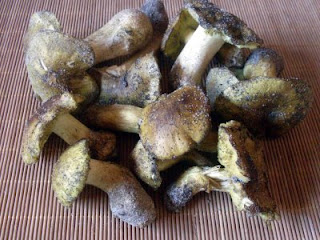 Receitas de Angola: Tortulhos com chouriço