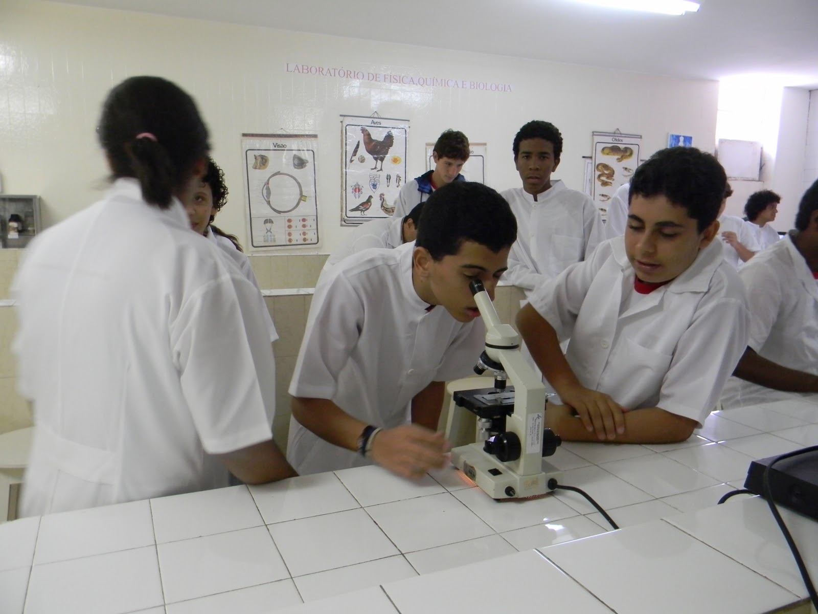 Laboratório de Biologia e Meio Ambiente: Prática - 04, parte 1 ...