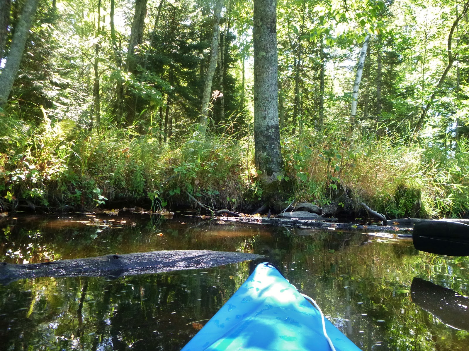 Kayaking Waupaca Area Waters