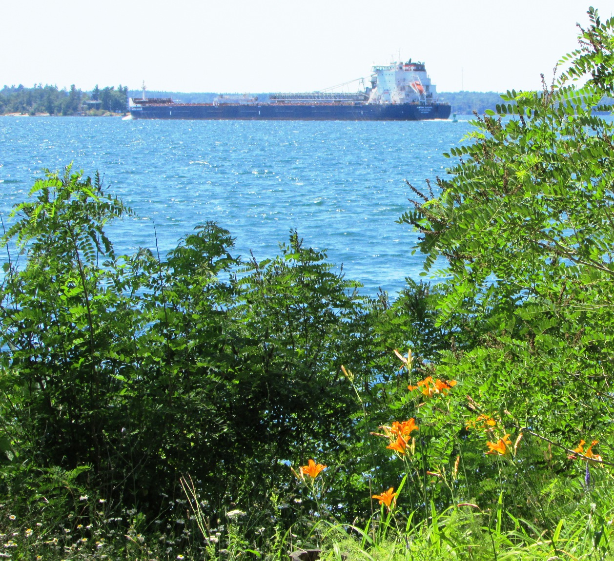 Singer Castle Blog & More: Hiking Morgan Island