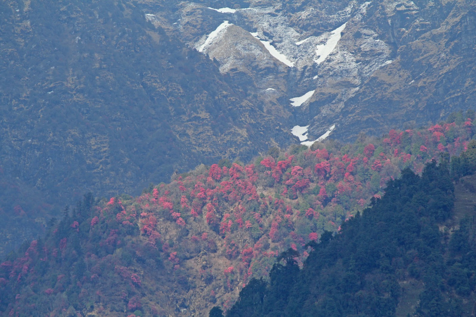 Away From Four Marks: 4th April – Satri to Supi, via Bageshwar