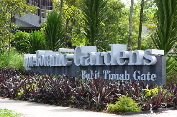How to Get to Singapore Botanic Garden from Harbourfront by MRT ...