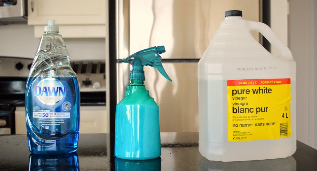 DIY Inexpensive Household Cleaner | A.Co est. 1984