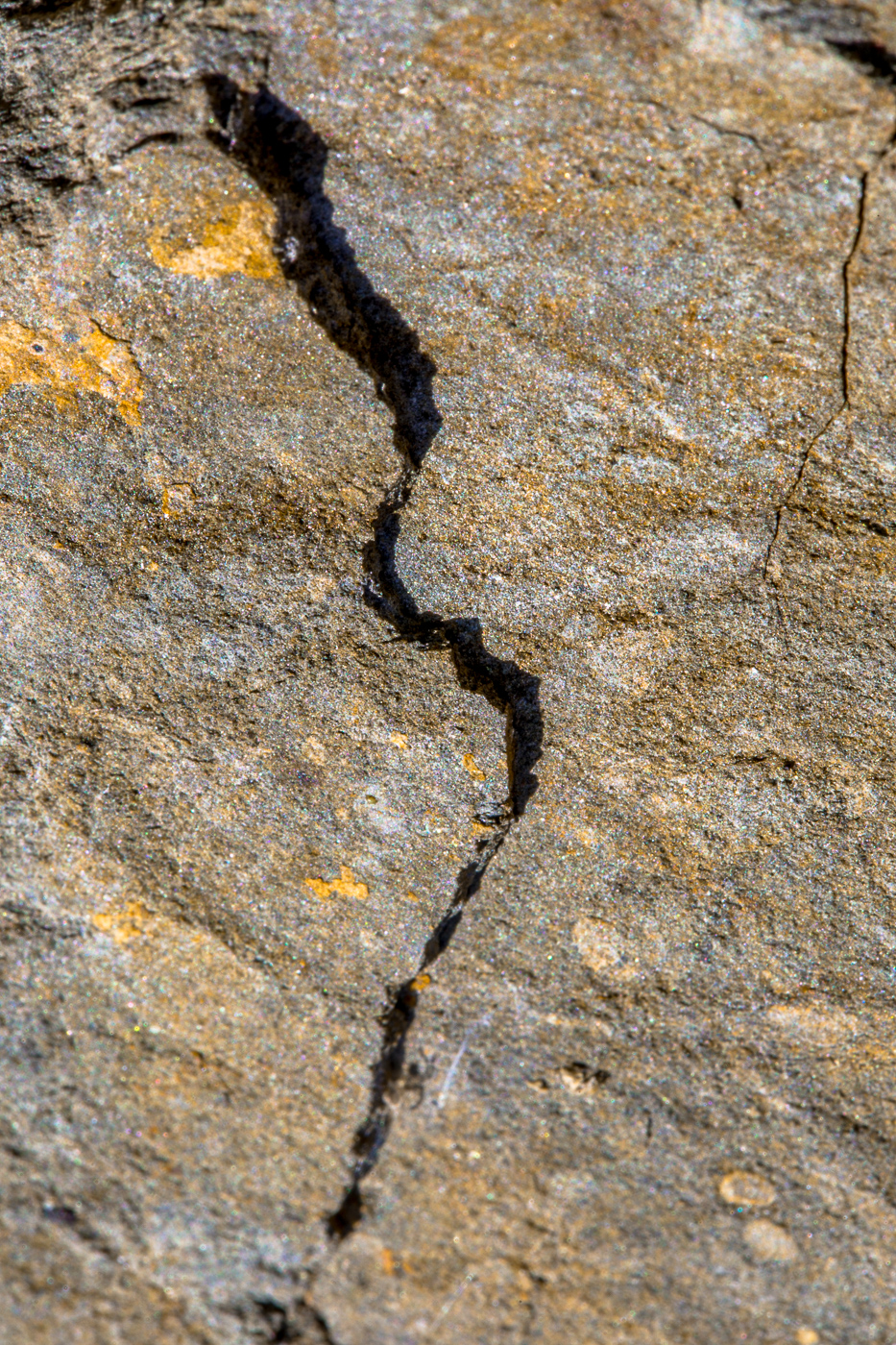 Neal Post Photography