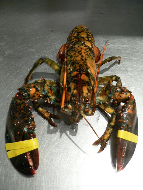 Exhibit Galleries Blog