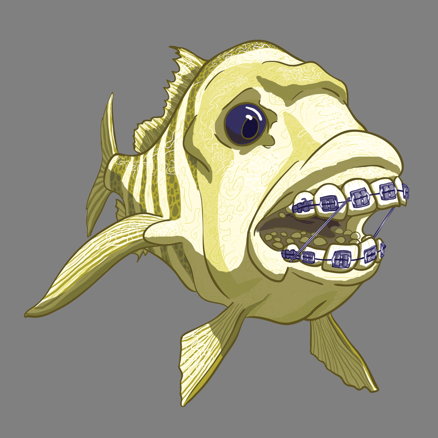 Ikan-Ikan Bergigi Manusia - Desi Fitrie | Informasi-informasi Terupdate