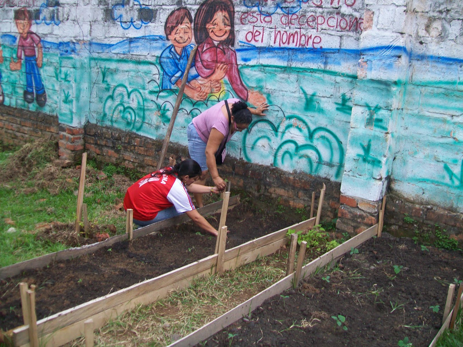 PROGRAMA JOVENES RURALES EMPRENDEDORES, FORMACION Y PROYECTOS PRODUCTIVOS