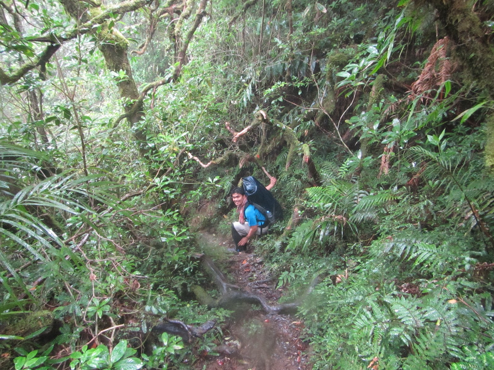 LEXICAL CROWN: MOUNT KANLAON CLIMB (GUINTUBDAN-GUINTUBDAN TRAIL)