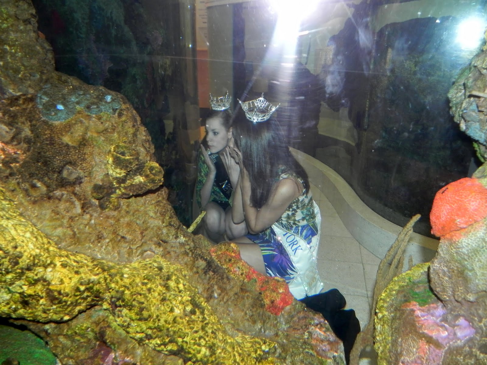 Life Under The Crown: Maria Fareri Children's Hospital