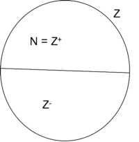 Matematica scuola secondaria 1° grado: Insiemi numerici