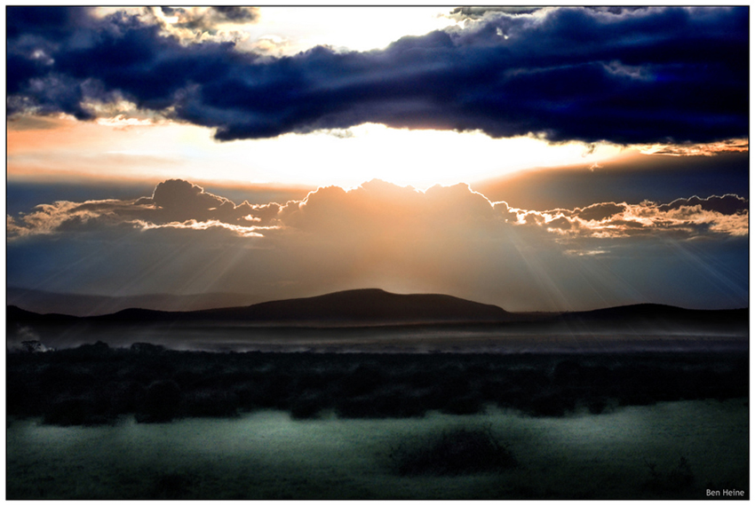 The Director's Desk: Your Promise Land