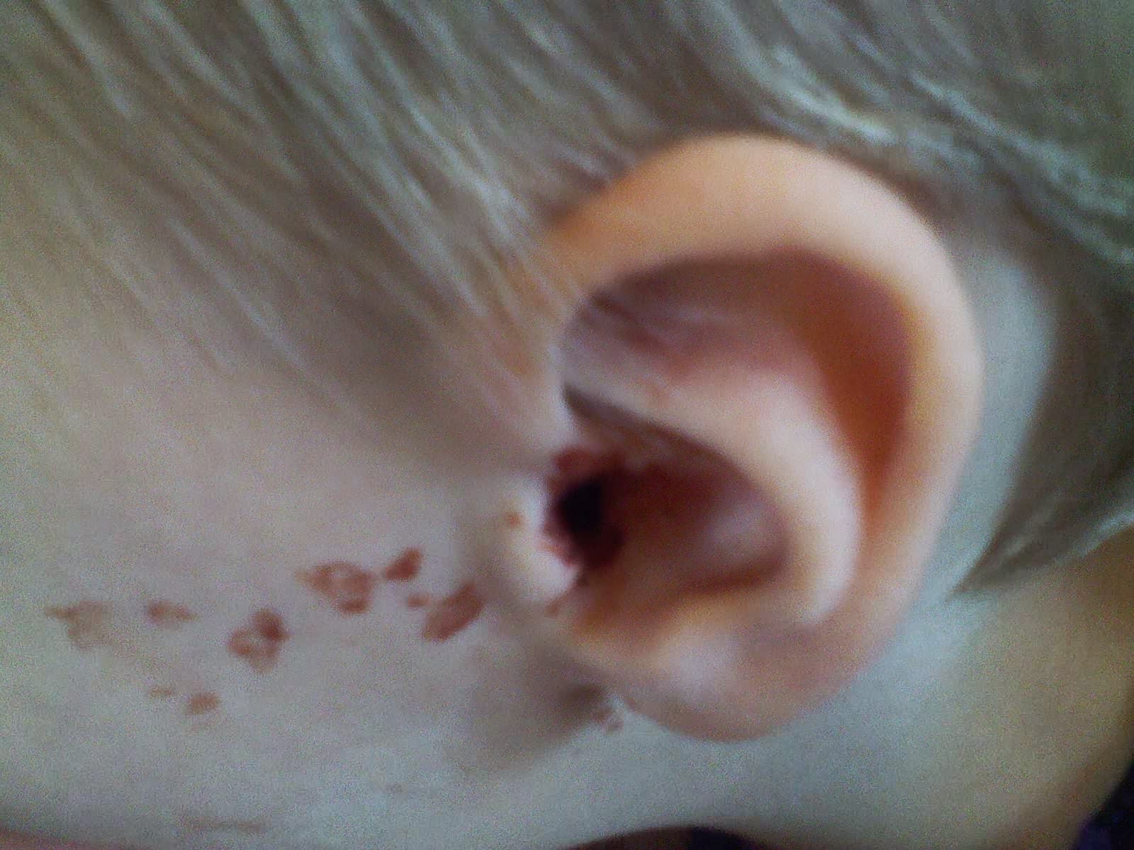 Marty and Emily: phone/summer