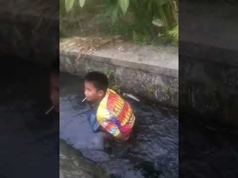 Tukar Tiub: BERAK CANGKUNG