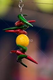 Do-Daily-Diary: Most popular traditions of SUPERSTITIONS around the world