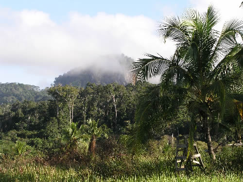 El Esequibo es nuestro: Otra cara de Guyana y la Reclamación: los ...